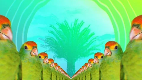 Fashion Vibes Stock Videos – Royalty-Free HD & 4K Videos