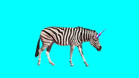 Minimal motion gif design. Zebra Unicorn | Stock Video | Pond5