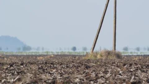 Heat Haze Stock Footage ~ Royalty Free Stock Videos | Pond5