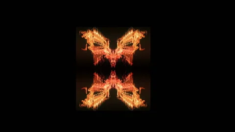 Mirrored flaming bat flying demon silhou... | Stock Video | Pond5