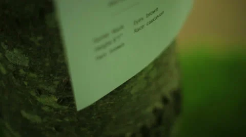 Miising Person Signs Stock Videos – Royalty-Free HD & 4K Videos