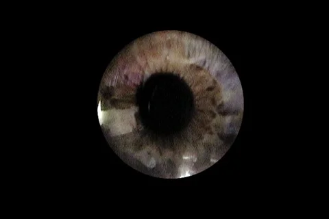 Mission Impossible Retinal Scan Template | Stock Video | Pond5