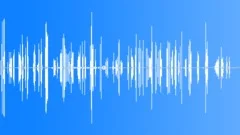 Song Thrush Sound Effects ~ Song Thrush Sounds | Pond5