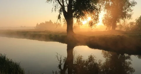 Y Song Video Stock Videos – Royalty-Free HD & 4K Videos