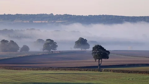 Autumn Fields Stock Videos – Royalty-Free HD & 4K Videos