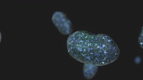 Mitochondria floating on black backgroun... | Stock Video | Pond5
