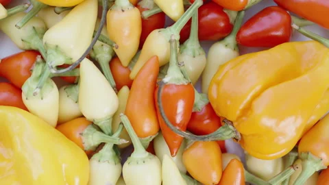 A mix of assorted mini chili peppers and... | Stock Video | Pond5