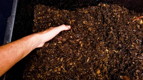 Aerate Stock Videos – Royalty-Free HD & 4K Videos | Pond5