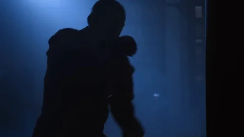 Mma fighter Silhouette exercise. Shadow-... | Stock Video | Pond5