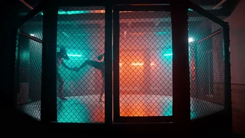 MMA fighters enter the cage ring. Mixed ... | Stock Video | Pond5