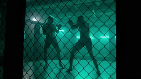 MMA fighters enter the cage ring. Mixed ... | Stock Video | Pond5