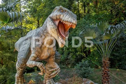 Model of big tyranosaurus rex jungle model of big tyranosaurus rex in ...