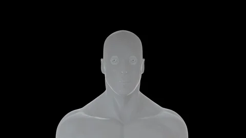 Model of the human body from head to toe... | Stock Video | Pond5