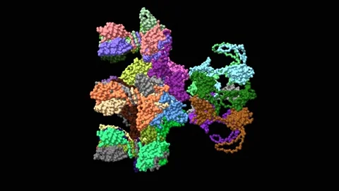 Model of siphophage p2 virion baseplate ... | Stock Video | Pond5