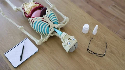 Model of a variety of human body parts i... | Stock Video | Pond5