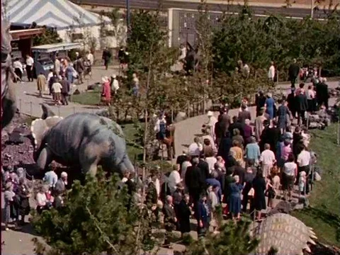 Models of the Trachodon, the Tyrannosaur... | Stock Video | Pond5