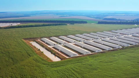Modern farming complex for domestic anim... | Stock Video | Pond5