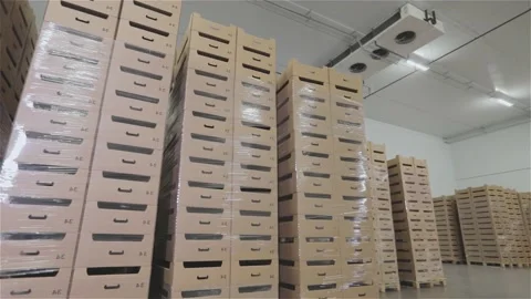 Modern food warehouse. Warehouse with fo... | Stock Video | Pond5