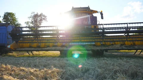 Modern grain harvester driving on farm a... | Stock Video | Pond5