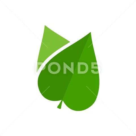 Modern Icon of Betel Leafs. Vector Illustration: Graphic #121314385