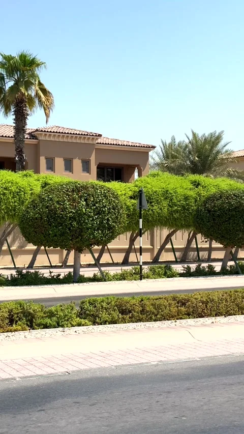 Modern landscape design uses dense trees... | Stock Video | Pond5