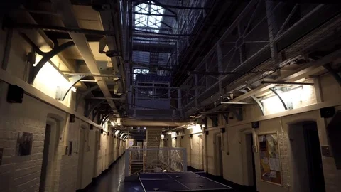 Law Wing Stock Video Footage | Royalty Free Law Wing Videos | Pond5