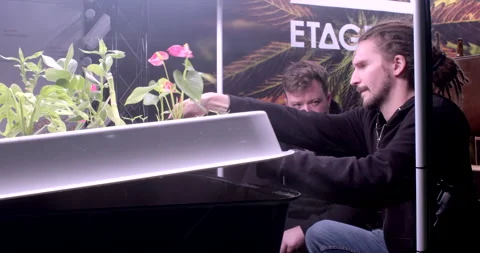 Legal Technology Company Stock Videos – Royalty-Free HD & 4K Videos | Pond5