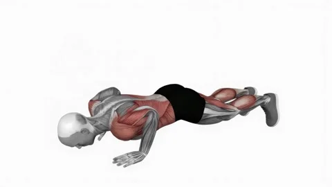 Push Up Exercise Stock Footage ~ Royalty Free Stock Videos | Page 9