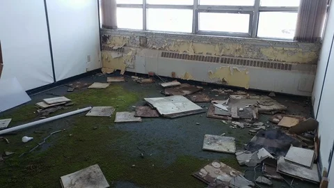 Growing Room Stock Video Footage | Royalty Free Growing Room Videos | Pond5