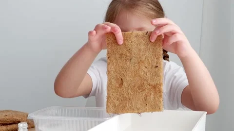 Moisten Stock Videos – Royalty-Free HD & 4K Videos