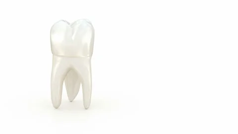 Molar tooth rotation, dental background ... | Stock Video | Pond5