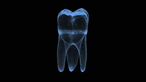 Molar tooth rotation, dental background | Stock Video | Pond5