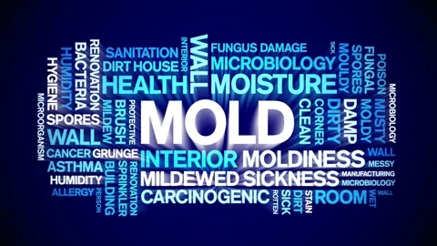 Mold animated word cloud,text animation ... | Stock Video | Pond5