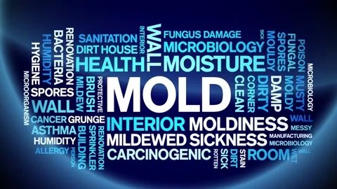 Mold animated word cloud,text animation ... | Stock Video | Pond5