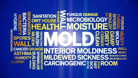 Mold animated word cloud,text animation ... | Stock Video | Pond5