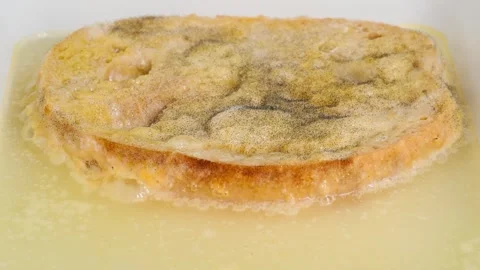 Bread From Mold Stock Video Footage | Royalty Free Bread From Mold ...