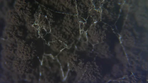 The Otten Stock Videos – Royalty-Free HD & 4K Videos