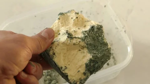 moldy cheese,close-up very moldy cheese,... | Stock Video | Pond5