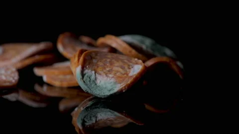 Rotten Meat Stock Videos – Royalty-Free HD & 4K Videos | Pond5