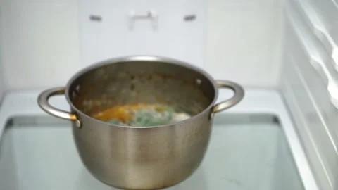 Mold Spores Stock Video Footage | Royalty Free Mold Spores Videos | Pond5