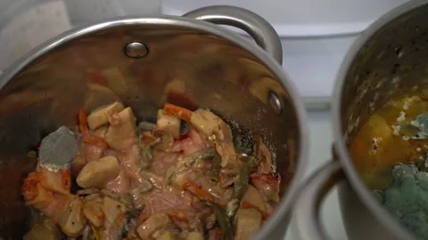 Mold Spores Stock Video Footage | Royalty Free Mold Spores Videos | Pond5