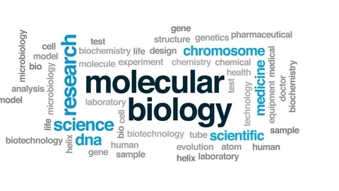 Molecular biology animated word cloud, t... | Stock Video | Pond5