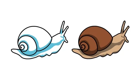 mollusk, Snail Sketch and 2d animation, ... | Stock Video | Pond5