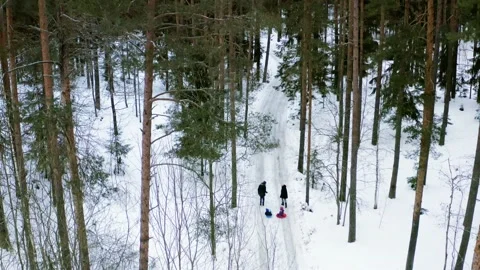 Push Kids Stock Video Footage | Royalty Free Push Kids Videos | Pond5