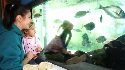 Mom shows the little girl the fish swimm... | Stock Video | Pond5