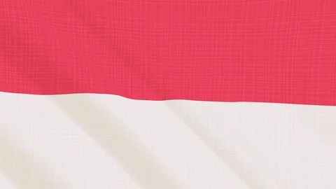 Monaco flag waving in the wind. Icon in ... | Stock Video | Pond5