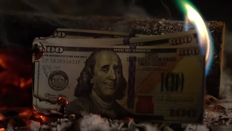 Money Fire Stock Footage ~ Royalty Free Stock Videos | Pond5