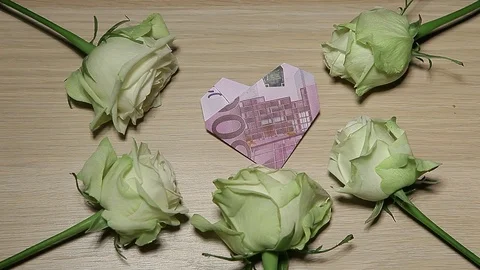 money rose flower table background hd fo... | Stock Video | Pond5