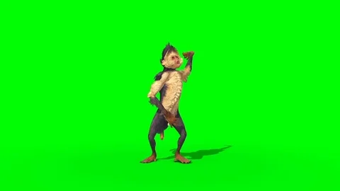 Monkey Green Screen Stock Footage ~ Royalty Free Stock Videos | Pond5
