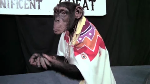 Vintage Clapping Stock Video Footage | Royalty Free Vintage Clapping ...